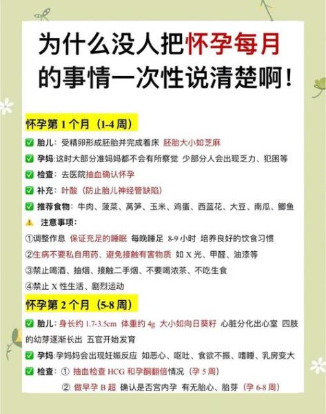 怀孕前三个月禁忌_孕妇注意事项-第1张图片-山城妙识 怀孕前三个月禁忌_孕妇注意事项-第1张图片-山城妙识