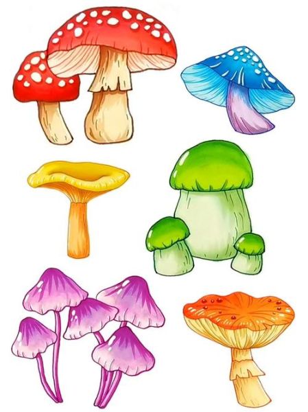 蘑菇图片简笔画彩色_如何画彩色蘑菇简笔画-第2张图片-山城妙识
