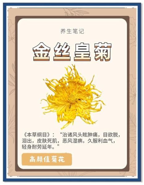 金丝皇菊的功效与作用_金丝皇菊怎么喝最养肝-第1张图片-山城妙识