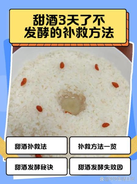 甜酒酿酸了怎么补救_甜酒酿发酸还能吃吗-第1张图片-山城妙识