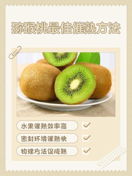 经期可以吃猕猴桃吗_猕猴桃对月经的影响-第1张图片-山城妙识