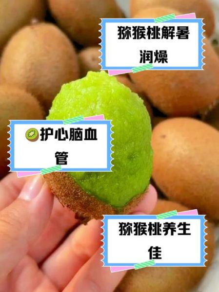 经期可以吃猕猴桃吗_猕猴桃对月经的影响-第3张图片-山城妙识