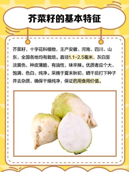 芥菜籽的功效与作用_芥菜籽怎么吃最好-第1张图片-山城妙识