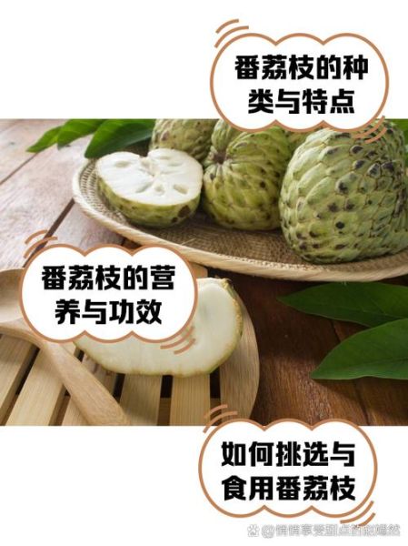 番荔枝的营养价值_番荔枝吃了会上火吗-第1张图片-山城妙识