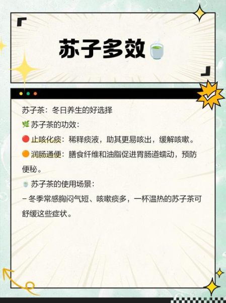 苏子降气汤的功效与作用_苏子降气汤适用人群-第3张图片-山城妙识