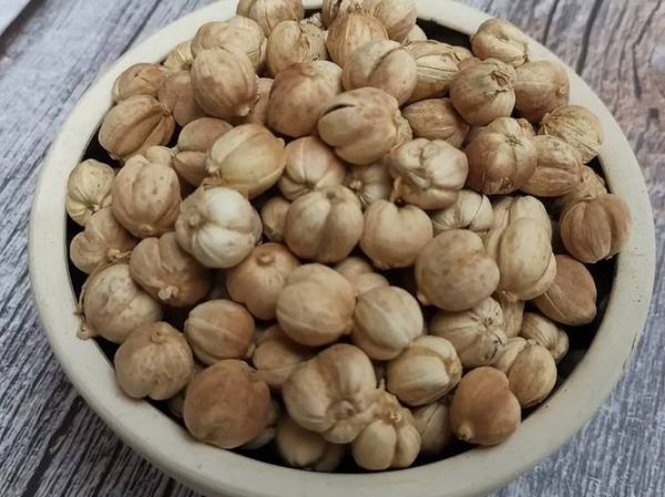 肉蔻图片长什么样_肉蔻真假怎么分辨-第2张图片-山城妙识