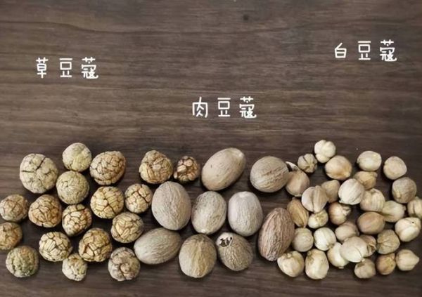 肉蔻图片长什么样_肉蔻真假怎么分辨-第3张图片-山城妙识