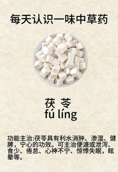 茯苓的功效与作用有哪些_茯苓主治什么病-第2张图片-山城妙识 茯苓的功效与作用有哪些_茯苓主治什么病-第2张图片-山城妙识