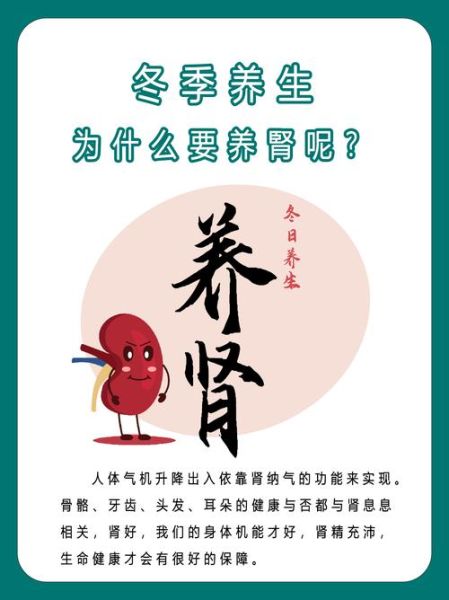冬季中医养生小常识_冬季如何养肾防寒-第1张图片-山城妙识