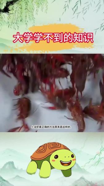 小龙虾怎么吃_小龙虾怎么吃才干净-第2张图片-山城妙识