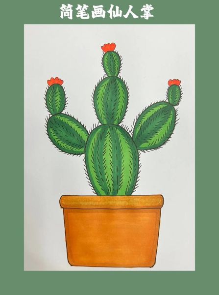 仙人掌图片怎么画_仙人掌绘画步骤-第3张图片-山城妙识 仙人掌图片怎么画_仙人掌绘画步骤-第3张图片-山城妙识