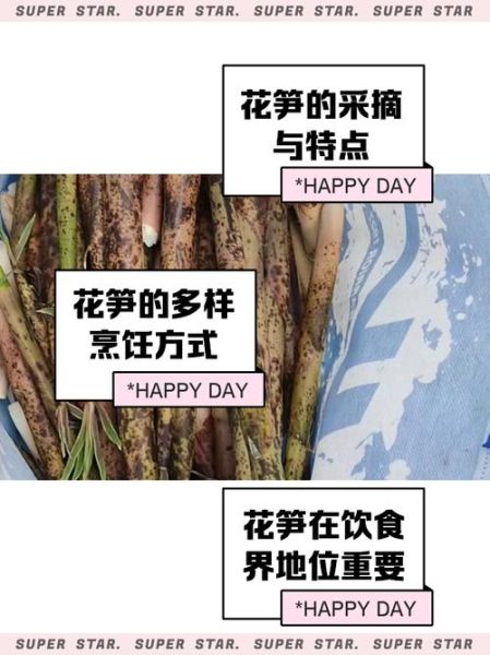 笋花怎么做好吃_笋花的家常做法大全-第2张图片-山城妙识 笋花怎么做好吃_笋花的家常做法大全-第2张图片-山城妙识