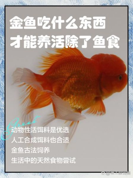 鱼鱼鱼怎么养_鱼鱼鱼吃什么-第2张图片-山城妙识 鱼鱼鱼怎么养_鱼鱼鱼吃什么-第2张图片-山城妙识