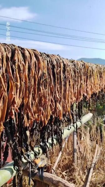 梅干菜怎么晒_梅干菜晒多久才能吃-第3张图片-山城妙识