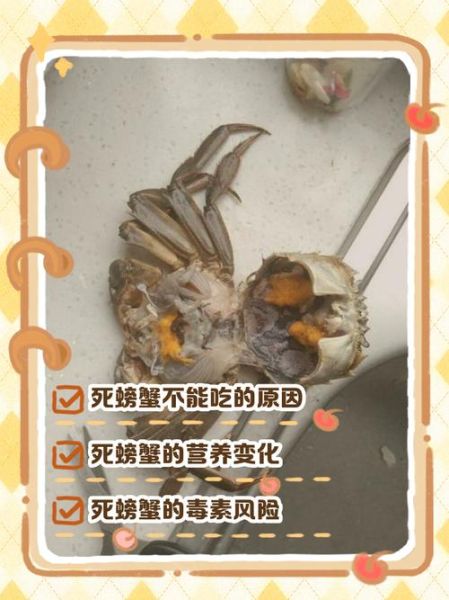 半死不活的螃蟹还能吃吗_如何判断螃蟹新鲜度-第1张图片-山城妙识