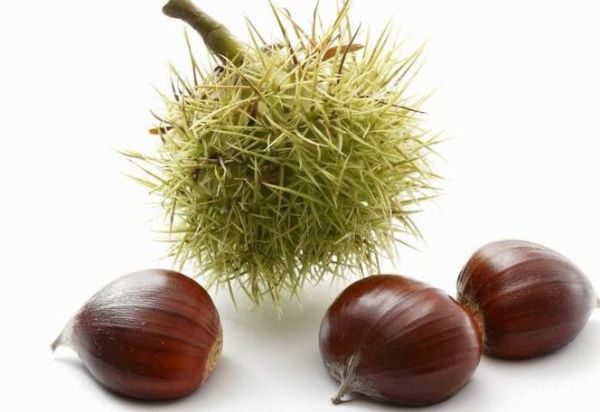 吃栗子会发胖吗_减肥期间能吃栗子吗-第3张图片-山城妙识