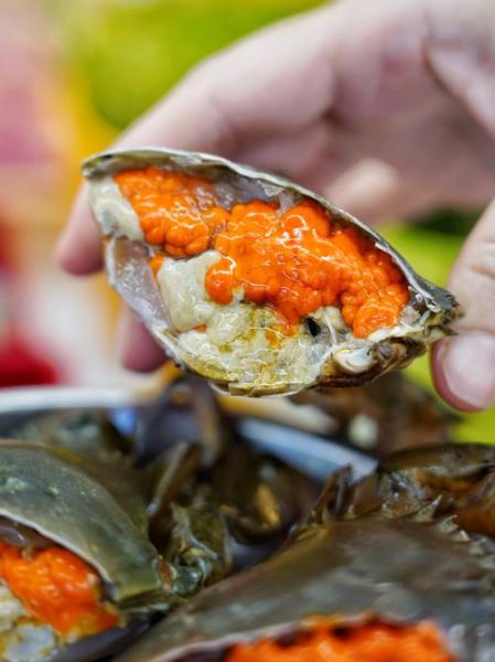 膏蟹是淡水还是海水_膏蟹养殖环境揭秘-第1张图片-山城妙识