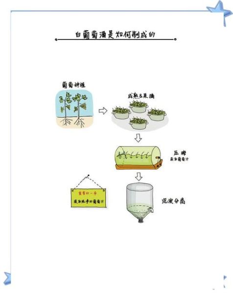葡萄酒制作工艺_自酿葡萄酒步骤-第1张图片-山城妙识 葡萄酒制作工艺_自酿葡萄酒步骤-第1张图片-山城妙识