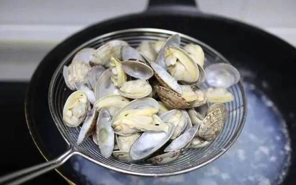 花蛤吐沙盐水比例_花蛤吐沙盐水比例是多少-第3张图片-山城妙识 花蛤吐沙盐水比例_花蛤吐沙盐水比例是多少-第3张图片-山城妙识