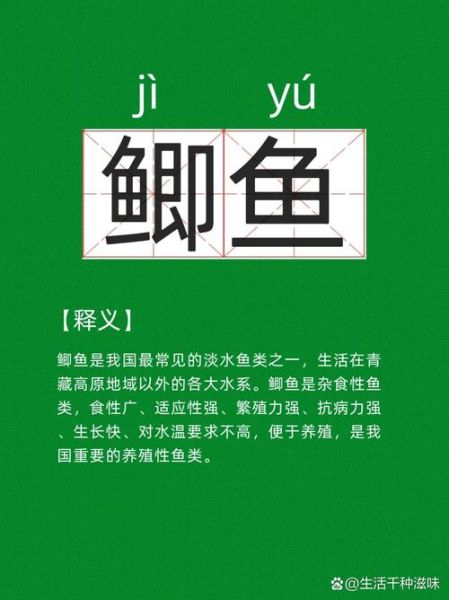 鲫鱼的拼音怎么写_鲫鱼怎么读-第1张图片-山城妙识