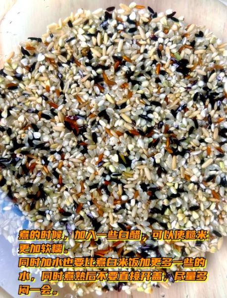 糙米饭用电饭锅怎么做_糙米饭电饭锅水量比例-第1张图片-山城妙识
