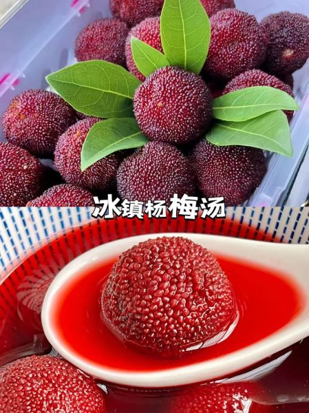 煮杨梅汤的做法_杨梅汤的功效与禁忌-第2张图片-山城妙识