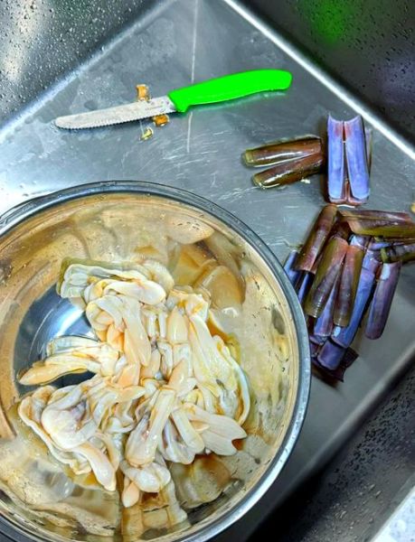 竹蛏怎么清洗_竹蛏的做法步骤-第1张图片-山城妙识