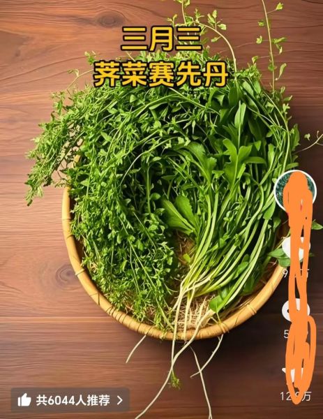 荠菜煮鸡蛋怎么做_荠菜煮鸡蛋的功效与禁忌-第3张图片-山城妙识 荠菜煮鸡蛋怎么做_荠菜煮鸡蛋的功效与禁忌-第3张图片-山城妙识