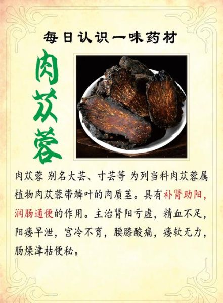 肉苁蓉的功效与作用_肉苁蓉怎么吃效果最好-第1张图片-山城妙识