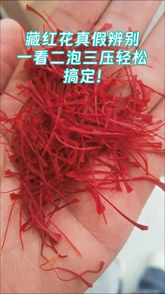 假藏红花泡水后什么颜色_如何辨别真假藏红花-第3张图片-山城妙识