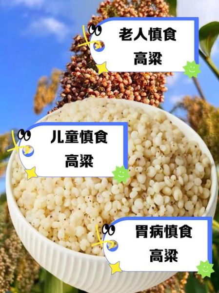 长期吃高粱米有什么危害_高粱米吃多了会便秘吗-第1张图片-山城妙识