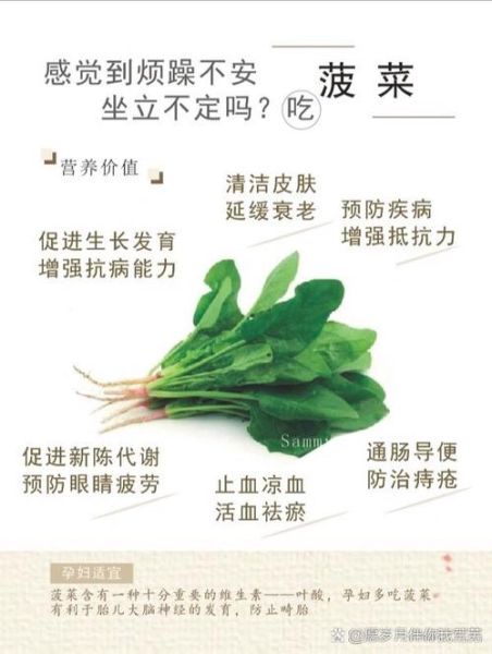 菠菜的功效与作用_菠菜怎么吃最有营养-第3张图片-山城妙识