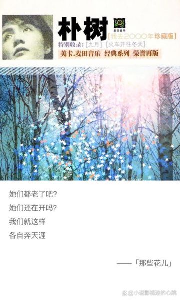 洋葱歌词表达了什么情感_如何理解一层一层-第1张图片-山城妙识