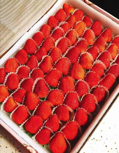 丹东草莓为什么好吃_丹东草莓多少钱一斤-第1张图片-山城妙识