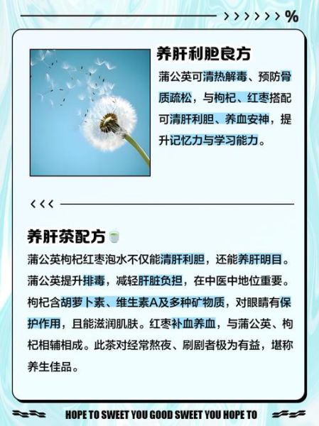 蒲公英加枸杞泡水有什么功效_蒲公英枸杞茶可以天天喝吗-第2张图片-山城妙识