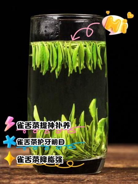 雀舌茶的功效与作用_雀舌茶适合什么人喝-第3张图片-山城妙识