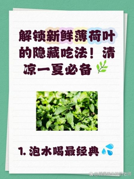 薄荷叶子怎么吃_新鲜薄荷叶怎么吃最好-第1张图片-山城妙识