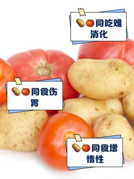 番茄炒土豆会中毒吗_番茄和土豆一起吃安全吗-第1张图片-山城妙识