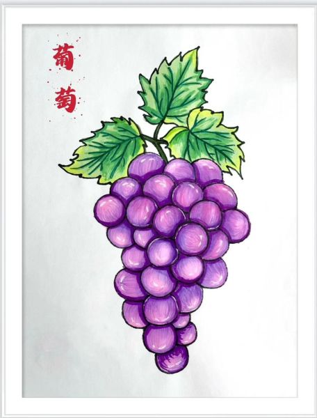 葡萄图片卡通怎么画_卡通葡萄简笔画教程-第1张图片-山城妙识