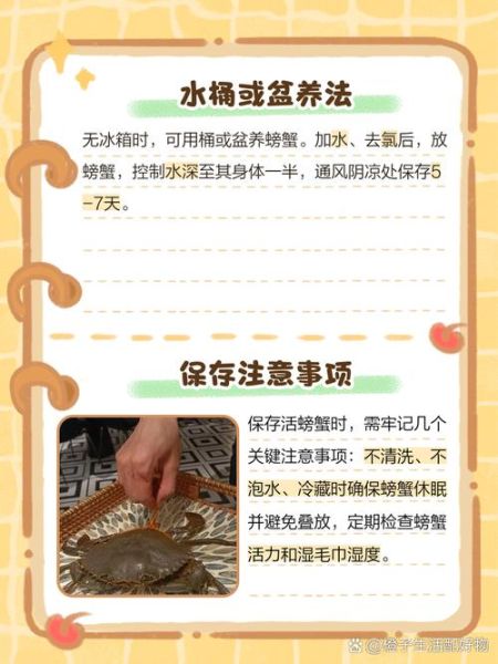 海蟹怎么保存过夜_活海蟹过夜保存方法-第1张图片-山城妙识