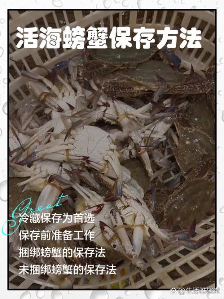 海蟹怎么保存过夜_活海蟹过夜保存方法-第3张图片-山城妙识