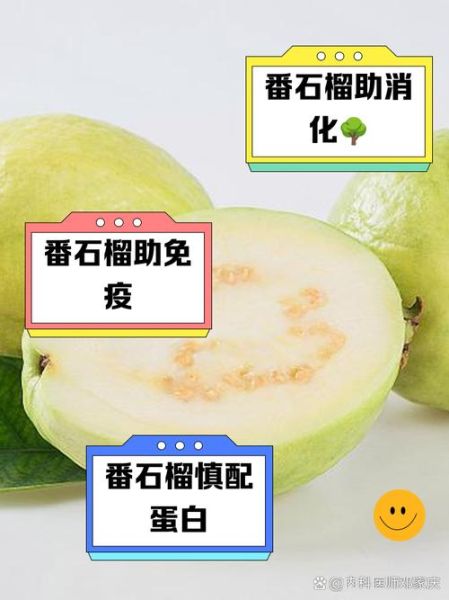 番石榴什么人不能吃_孕妇可以吃番石榴吗-第1张图片-山城妙识 番石榴什么人不能吃_孕妇可以吃番石榴吗-第1张图片-山城妙识