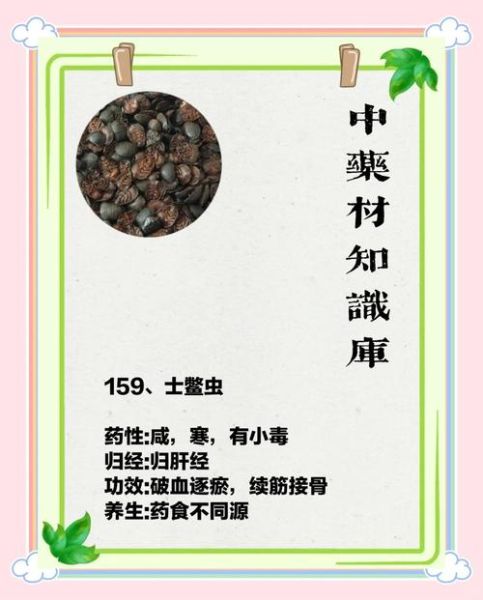 土鳖虫吃什么食物_土鳖虫饲料配方-第1张图片-山城妙识
