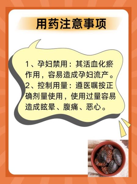 土鳖虫吃什么食物_土鳖虫饲料配方-第3张图片-山城妙识