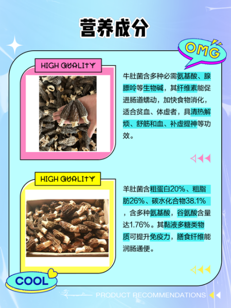 牛肚菌长什么样_如何辨别真假牛肚菌-第1张图片-山城妙识 牛肚菌长什么样_如何辨别真假牛肚菌-第1张图片-山城妙识