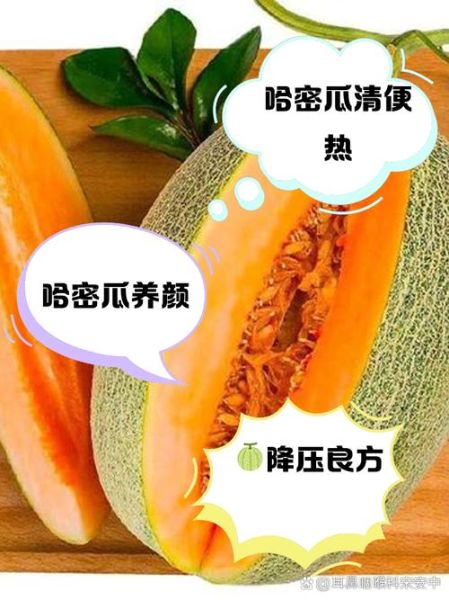 哈密瓜上火吗_吃哈密瓜会上火吗-第1张图片-山城妙识
