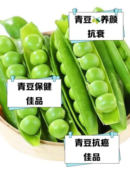 青豆的功效与作用及禁忌_青豆怎么吃最营养-第1张图片-山城妙识