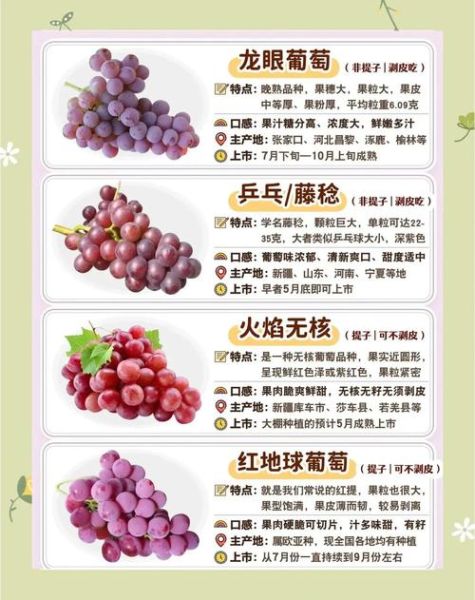 葡萄的营养价值有哪些_吃葡萄有什么好处-第2张图片-山城妙识