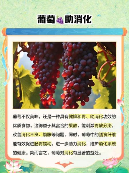 葡萄的营养价值有哪些_吃葡萄有什么好处-第1张图片-山城妙识
