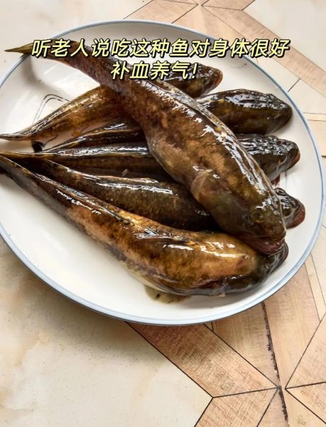 跳水鱼为什么叫跳水鱼_跳水鱼的由来-第2张图片-山城妙识 跳水鱼为什么叫跳水鱼_跳水鱼的由来-第2张图片-山城妙识